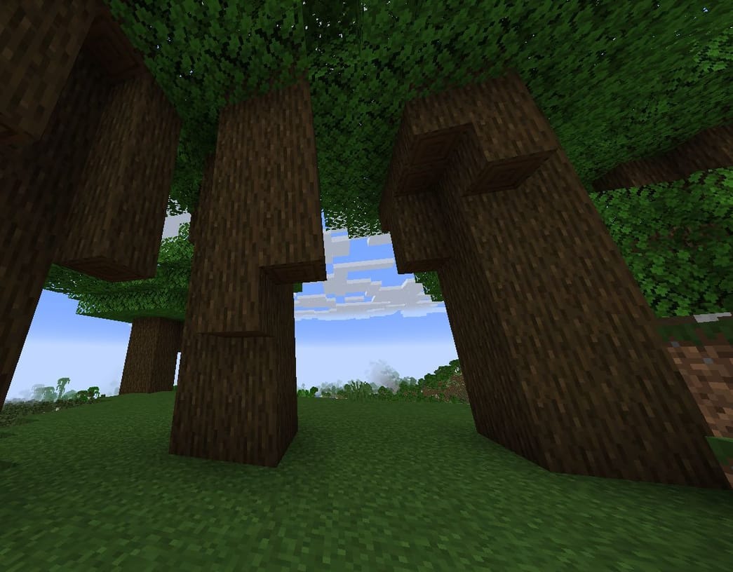 Dark Forest Hills in Minecraft