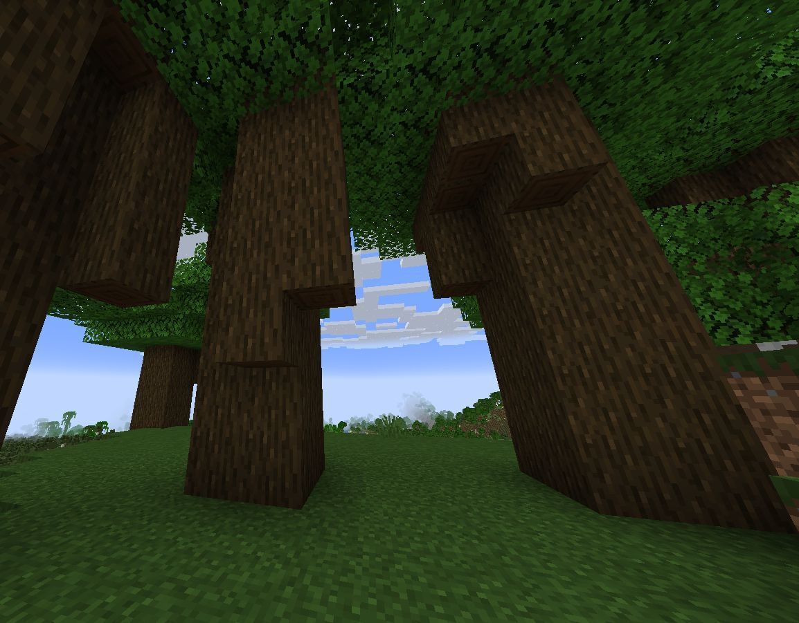 Dark Forest Hills in Minecraft