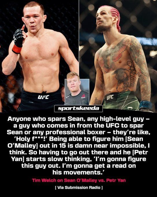 Who is Sean O'Malley's coach Tim Welch?