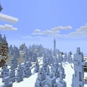 What are Plains Biome in Minecraft?