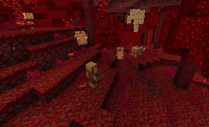 Crimson Forest in Minecraft