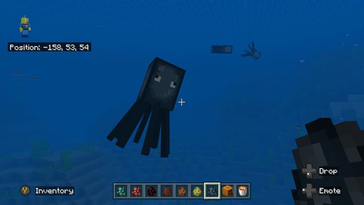 River Biomes in Minecraft