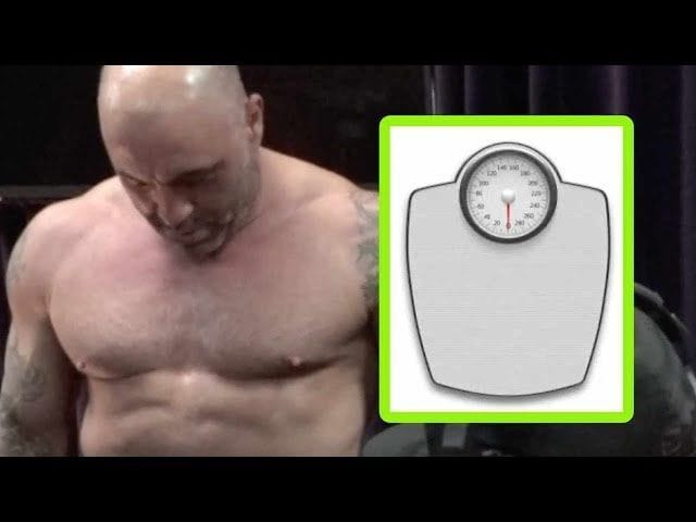 "I watched John Wick like 50 times" - Joe Rogan looks on how he got ...