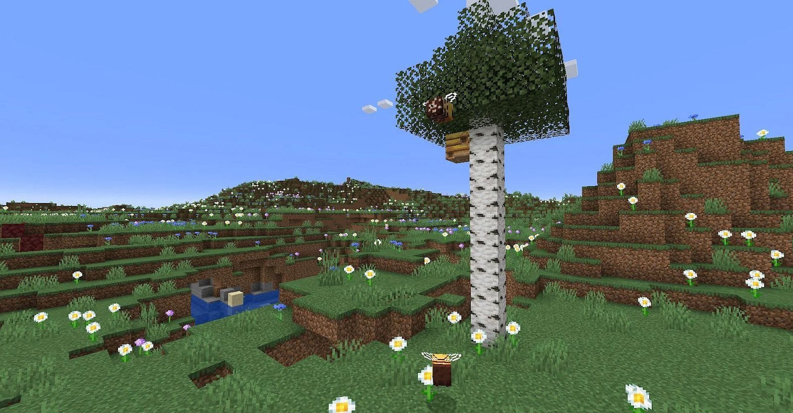 What are Plains Biome in Minecraft?