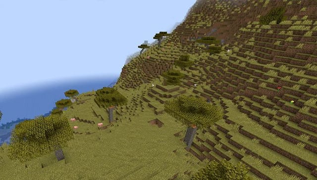 Savanna Plateau in Minecraft