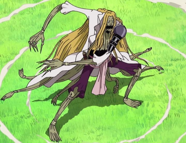 Wara Wara no Mi in One Piece