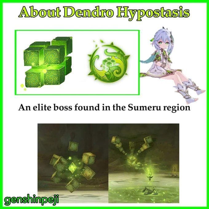 Genshin Impact Nahida ascension materials: Resources and location guide