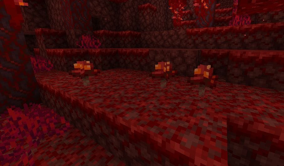 Fungus in Minecraft