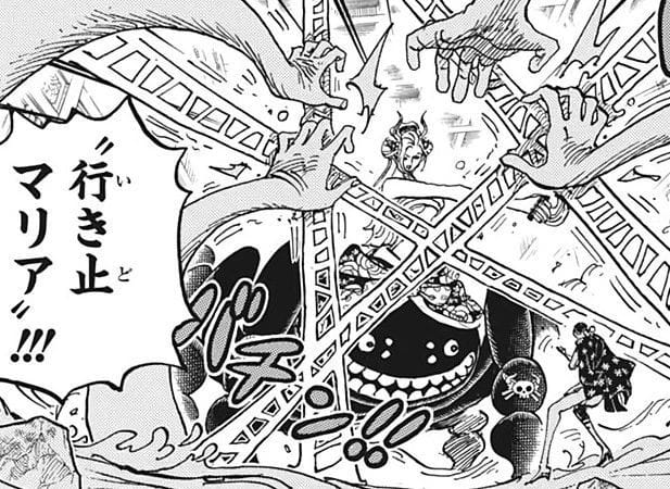 Kumo Kumo no Mi, Model: Rosamygale Grauvogeli in One Piece