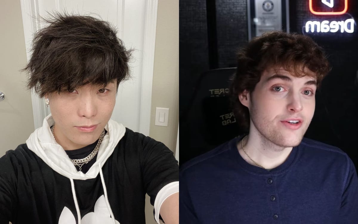 “He came out of a Disney movie” - Sykkuno reacts to Dream’s face-reveal