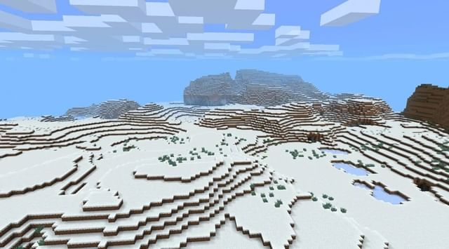 Snowy Plains in Minecraft