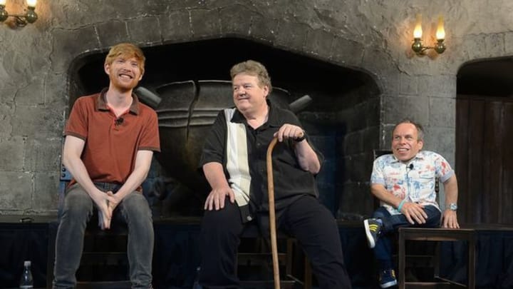 Why was Robbie Coltrane in a wheelchair? Health battle with ...