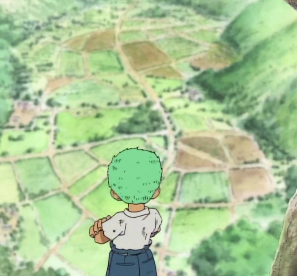 Where is Zoro from in One Piece?