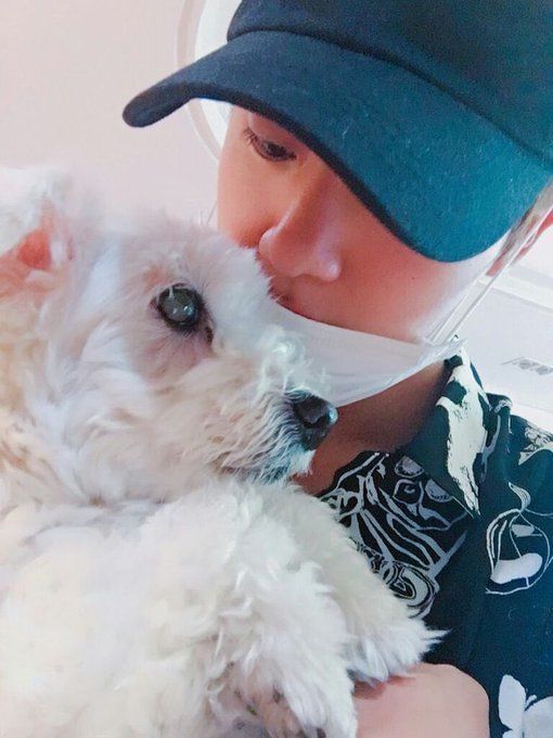 "Crying real hard": Fans get emotional as BTS' Jin's late companion ...