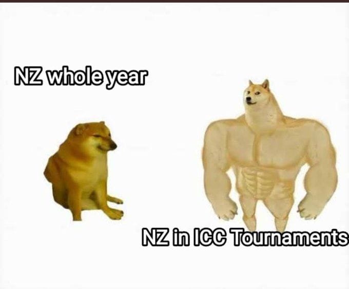 T20 World Cup 2022: Top 10 funny memes as New Zealand stun Australia ...