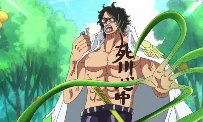 Who are the admirals in one piece?