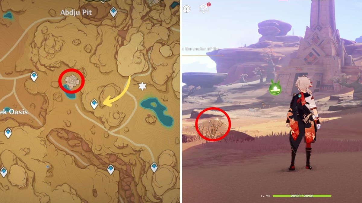 All 13 Mysterious Clipboard locations in Sumeru in Genshin Impact