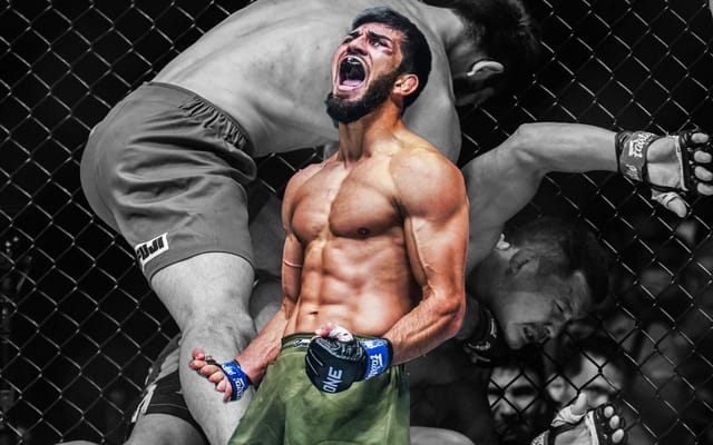 See full fight: Halil Amir vs. Timofey Nastyukhin