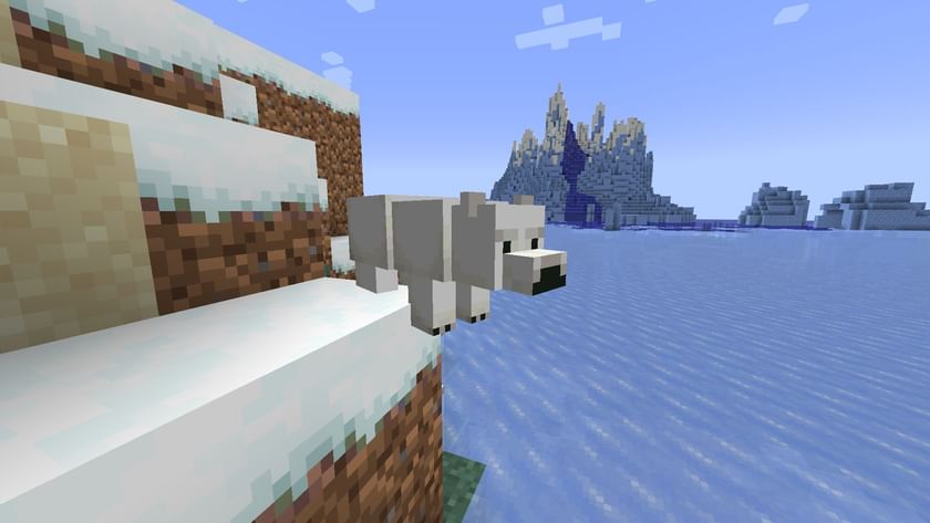 Top 5 things to know about polar bear in Minecraft