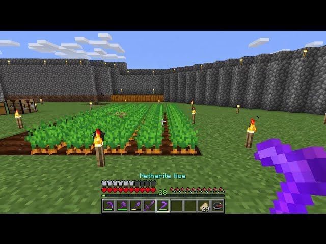 How to use hoe in Minecraft 1.19 update
