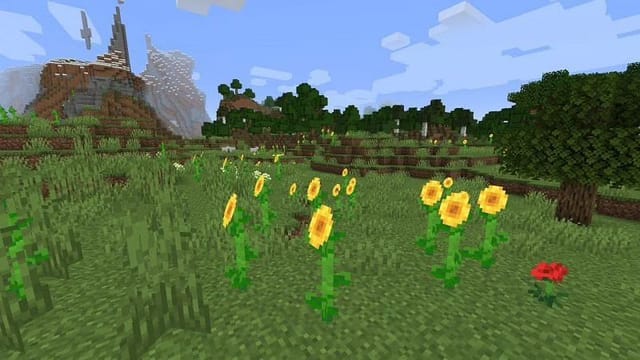 Sunflower Plains in Minecraft
