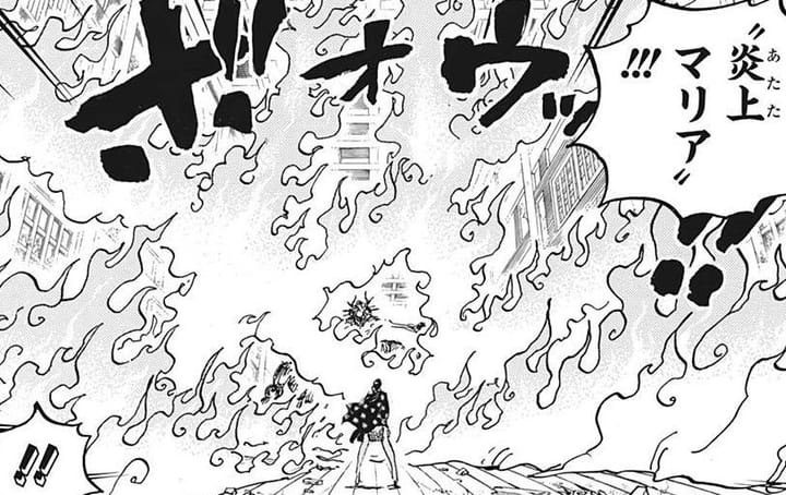 Kumo Kumo no Mi, Model: Rosamygale Grauvogeli in One Piece