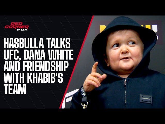 What is Hasbulla Magomedov's net worth?