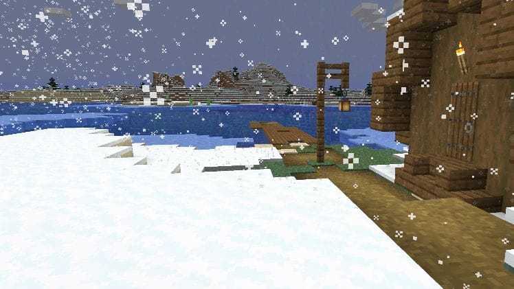Snowy Beach in Minecraft