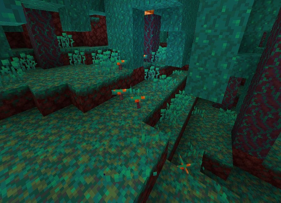 Fungus in Minecraft