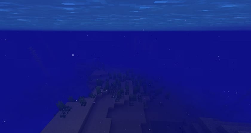 Lukewarm Ocean in Minecraft