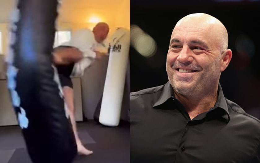 Fans wowed as Joe Rogan's incredible spinning back kick sends heavy bag ...