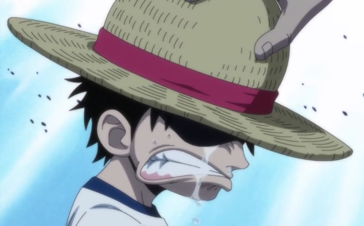 Who has the Gum-Gum fruit before luffy?