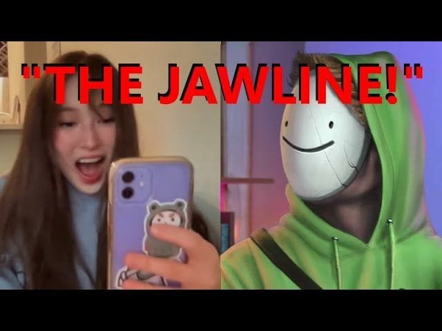 Full list of streamers who have now seen Dream’s face