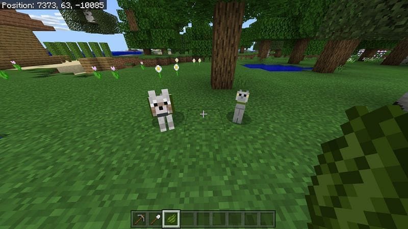 How to Get Green Dye in Minecraft & its Uses