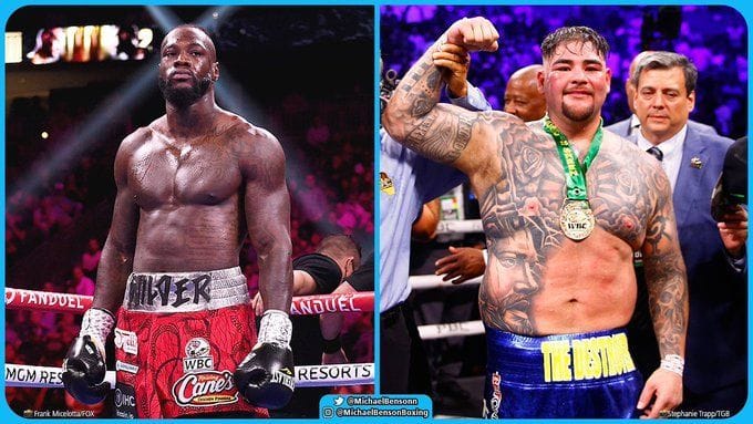 What did Dillian Whyte say about Deontay Wilder?