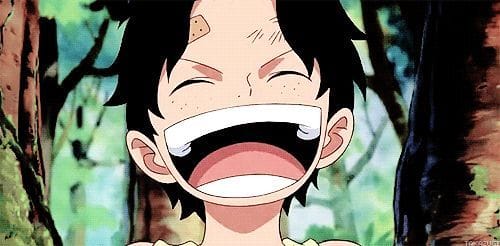 Who is Monkey D. Luffy's brother?