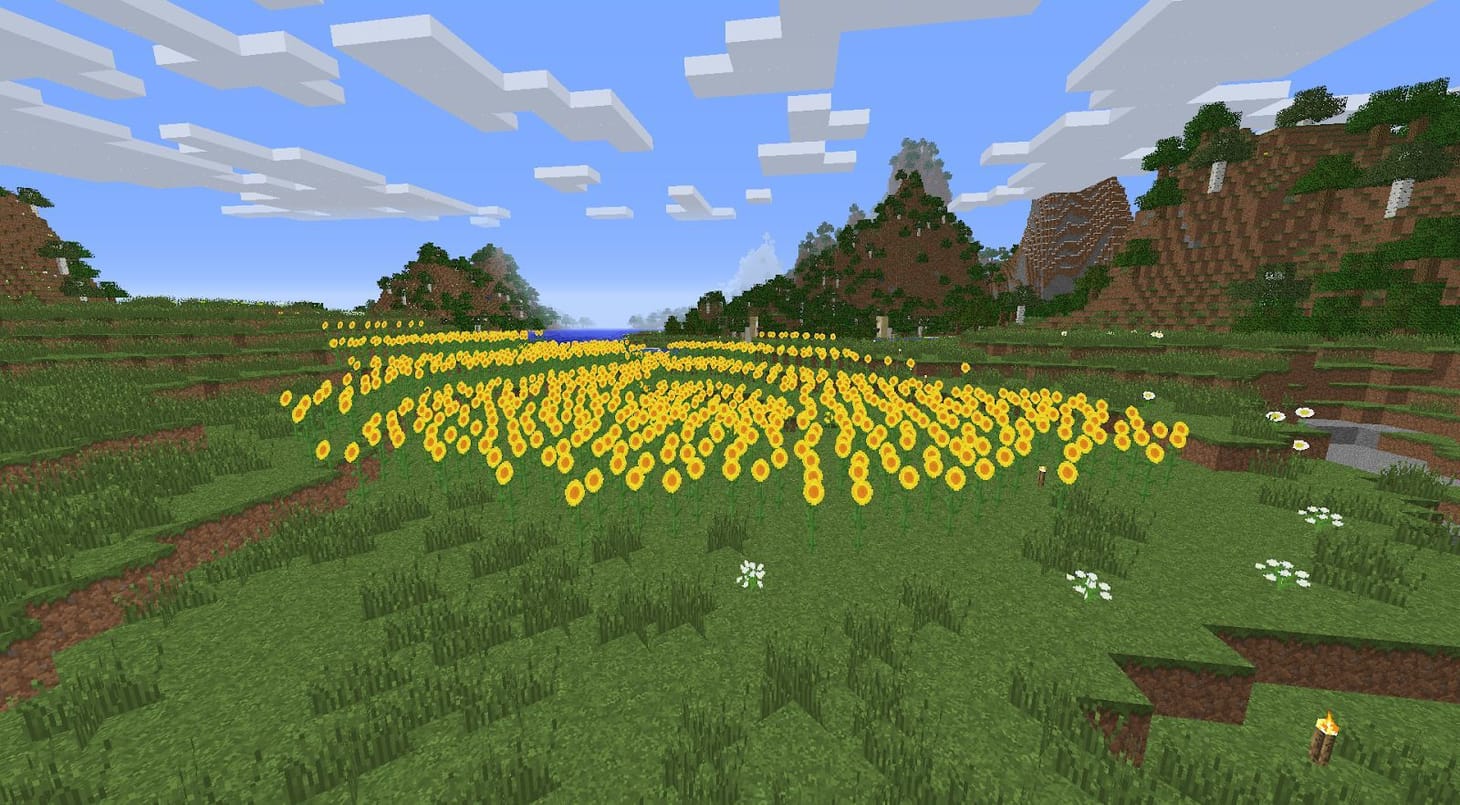 Sunflower Plains in Minecraft