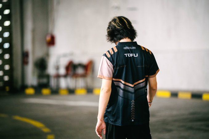 Dota 2 TI 11 playoffs recap: Secret and Tundra dominate on Day 3 as OG and Liquid continue their run