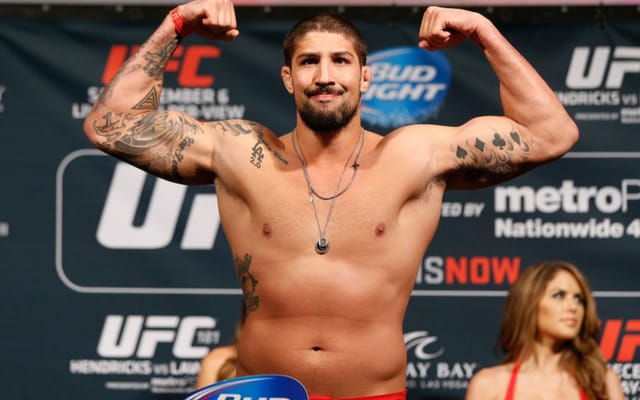When did Brendan Schaub start fighting professionally?