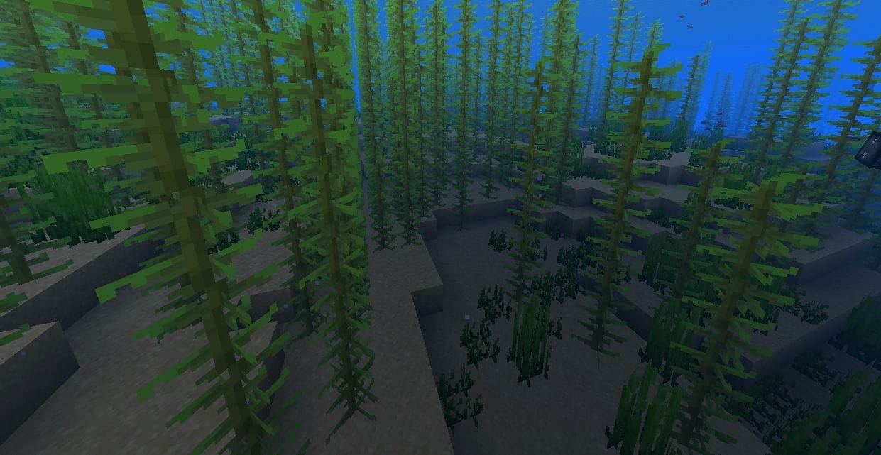 Lukewarm Ocean in Minecraft