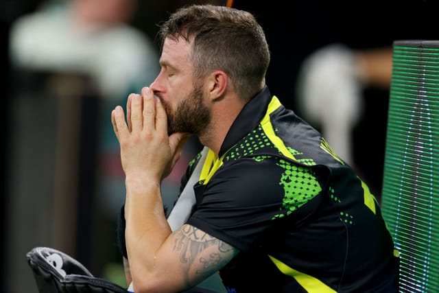 "That looked horrible when I saw it after the game" - Matthew Wade ...