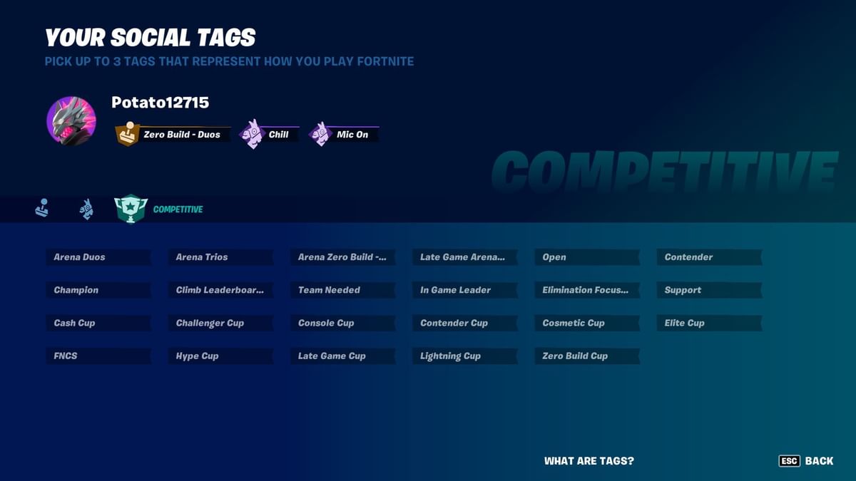 All Fortnite Social Tags as of Chapter 3 Season 4