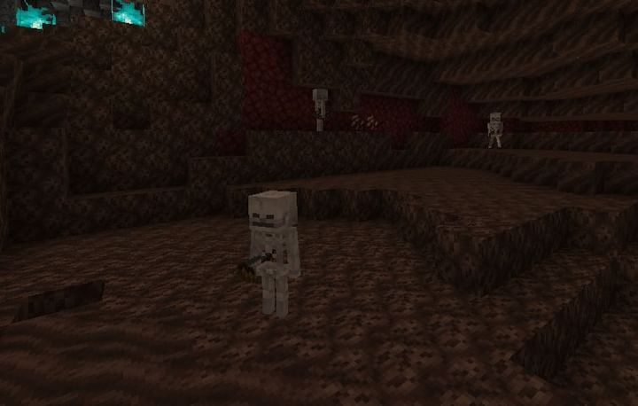 Soul Sand Valley in Minecraft