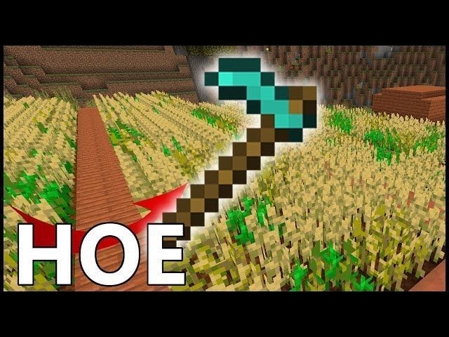 How to use hoe in Minecraft 1.19 update