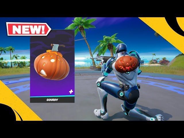 One Fortnite back bling comes with over 700 different variations
