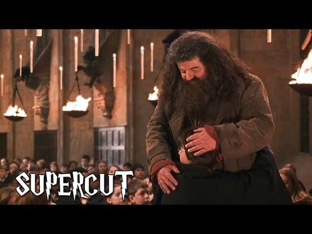 Robbie Coltrane: 5 lesser-known facts about Rubeus Hagrid actor