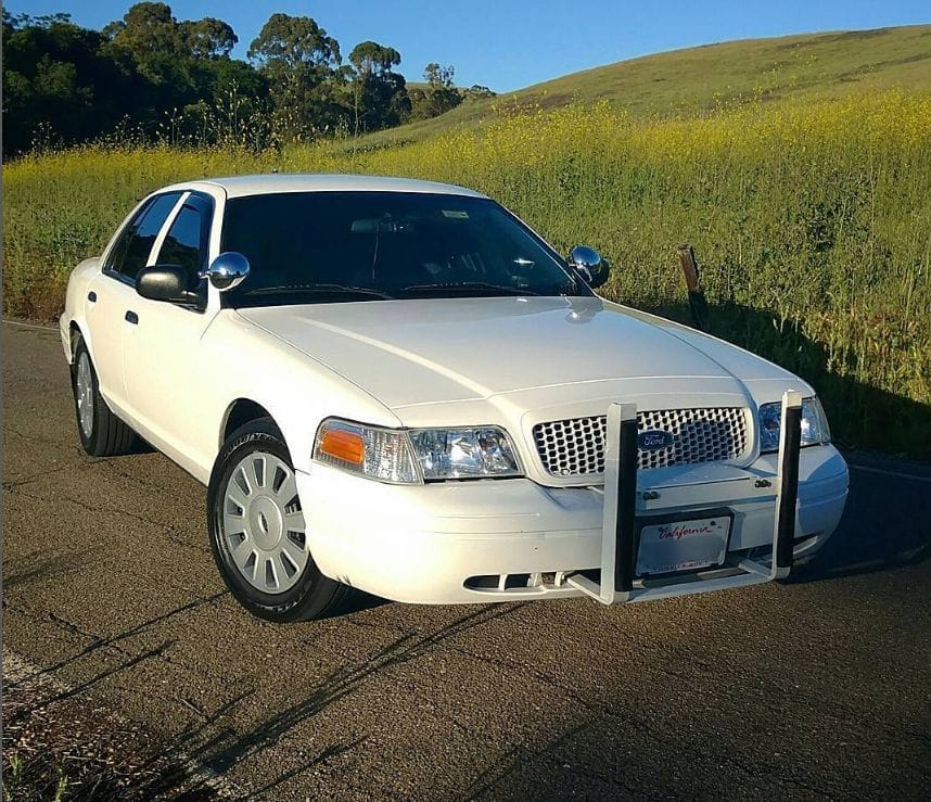 How much is Bay Area Bugg's Net Worth as of 2024?