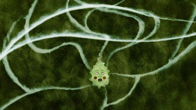 Mob Psycho 100 III Episode 6: Psycho Helmet Religion ends with a tragic ...