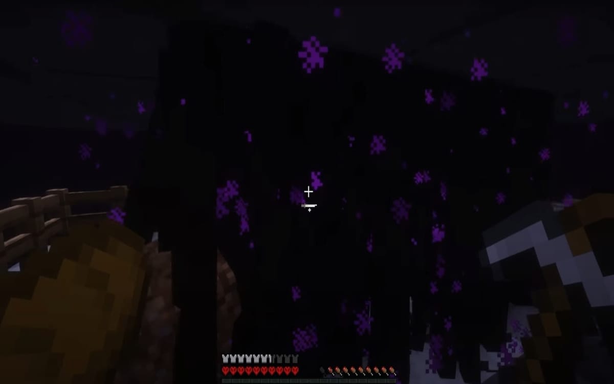 How to make an enderman farm in Minecraft 1.19