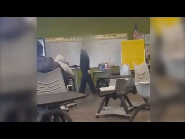 "Nobody has knocked him out yet?": TSU Professor fired after video of ...